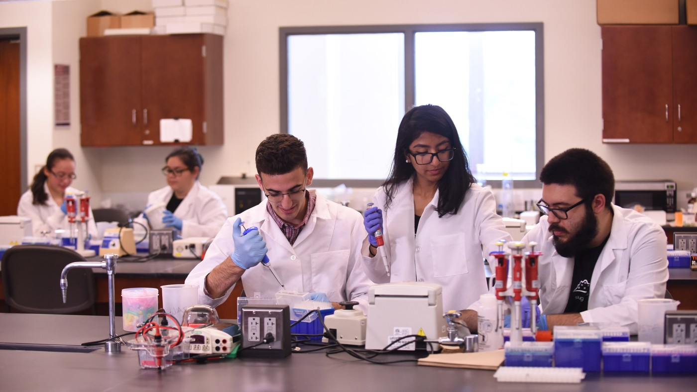 Post Baccalaureate Nutrition Program | Besto Blog